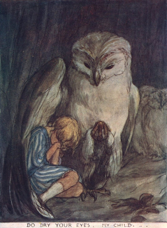 Katherine Clausen Illustrations in the Public Domain