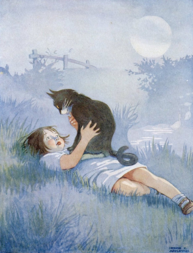 Honor Appleton Illustrations in the Public Domain