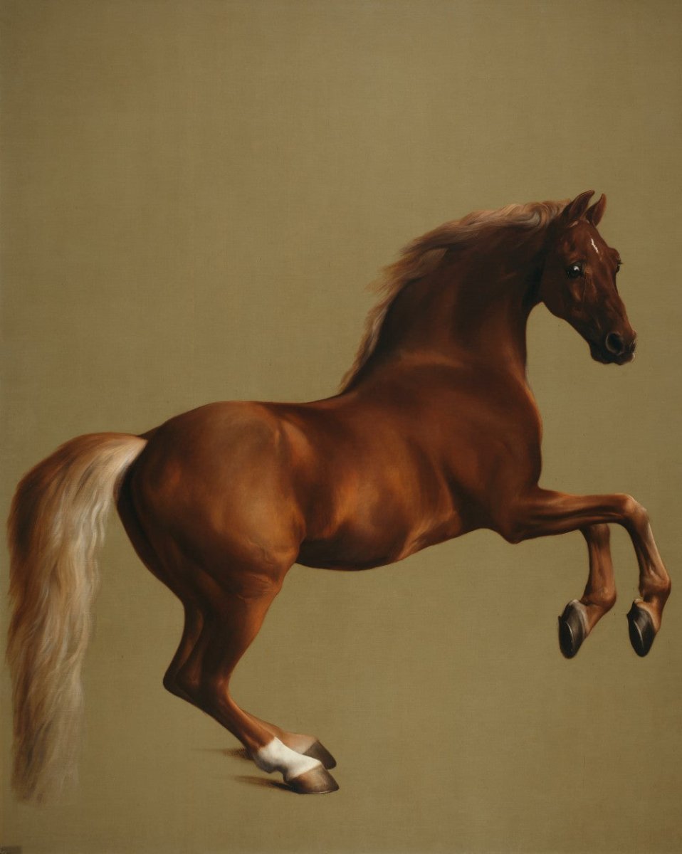 Horse Pictures in the Public Domain
