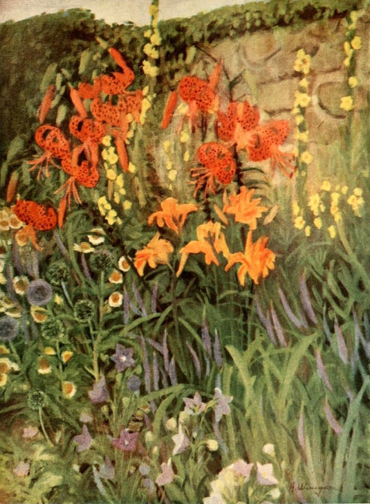 Anna Winegar Illustrations in the Public Domain