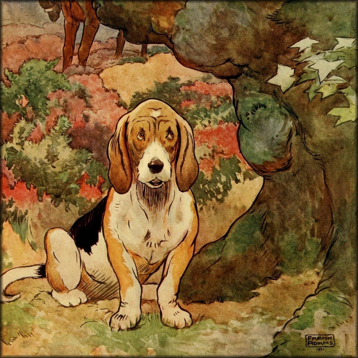 Frank Adams Illustrations in the Public Domain