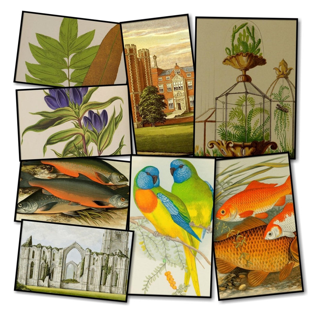 Alexander Lydon Illustrations in the Public Domain