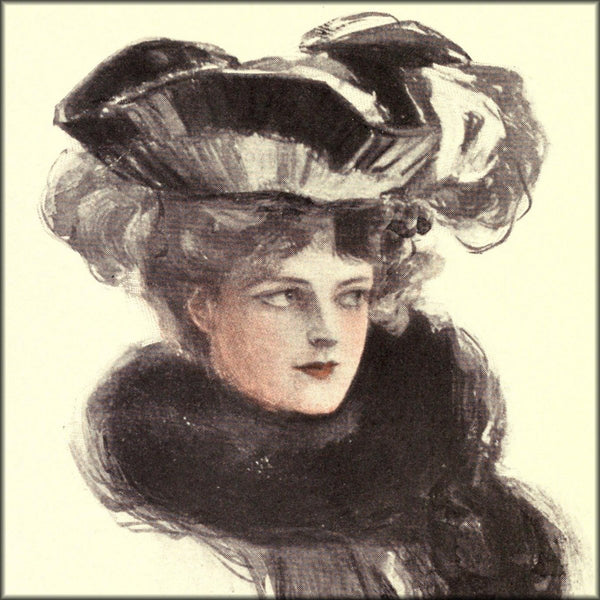 The Radical, 1907 - Harrison Fisher (1875-1934) - 1 image – Public ...