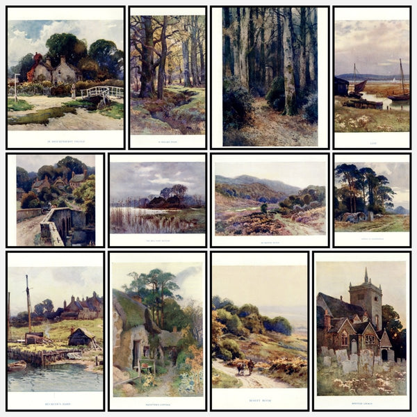 The New Forest 1912 - Ernest Haslehust - 12 images