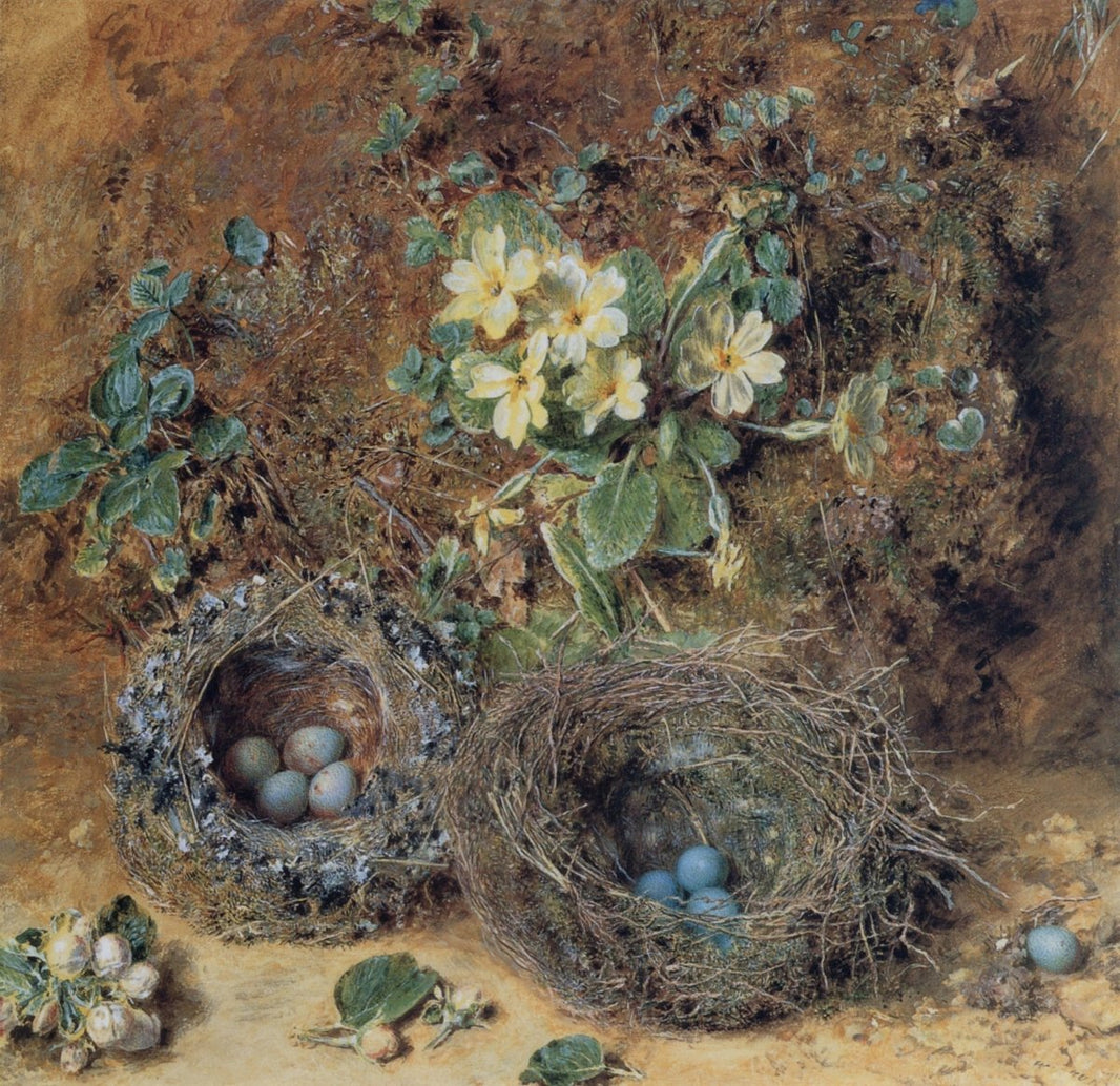 William Henry Hunt Artwork in the Public Domain