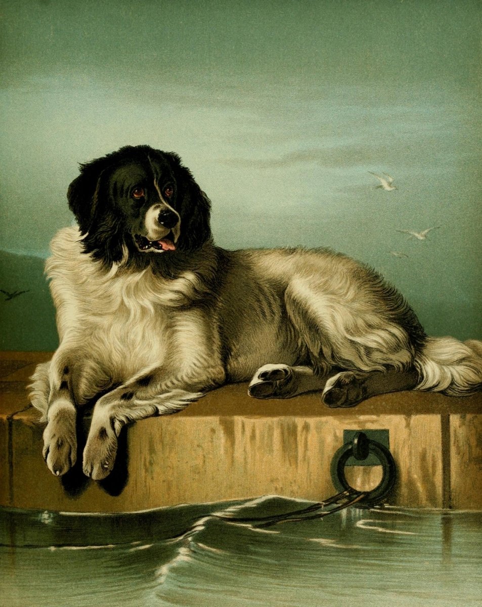 The Shepherd's Dog 1870 - Edwin Landseer - 8 images