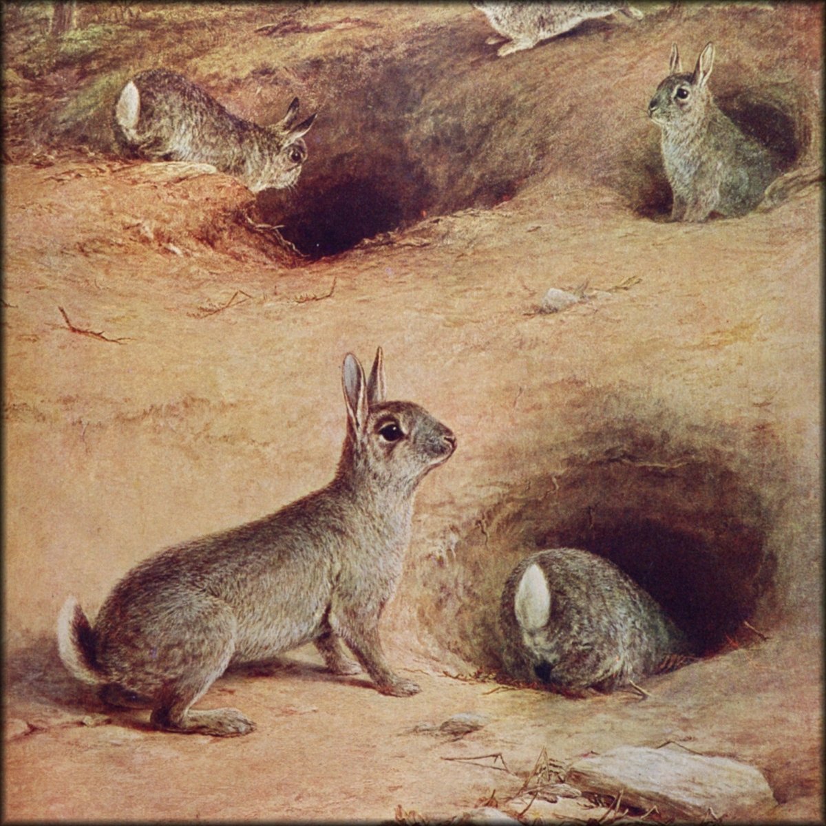 William Luker Jr Animal Art in the Public Domain