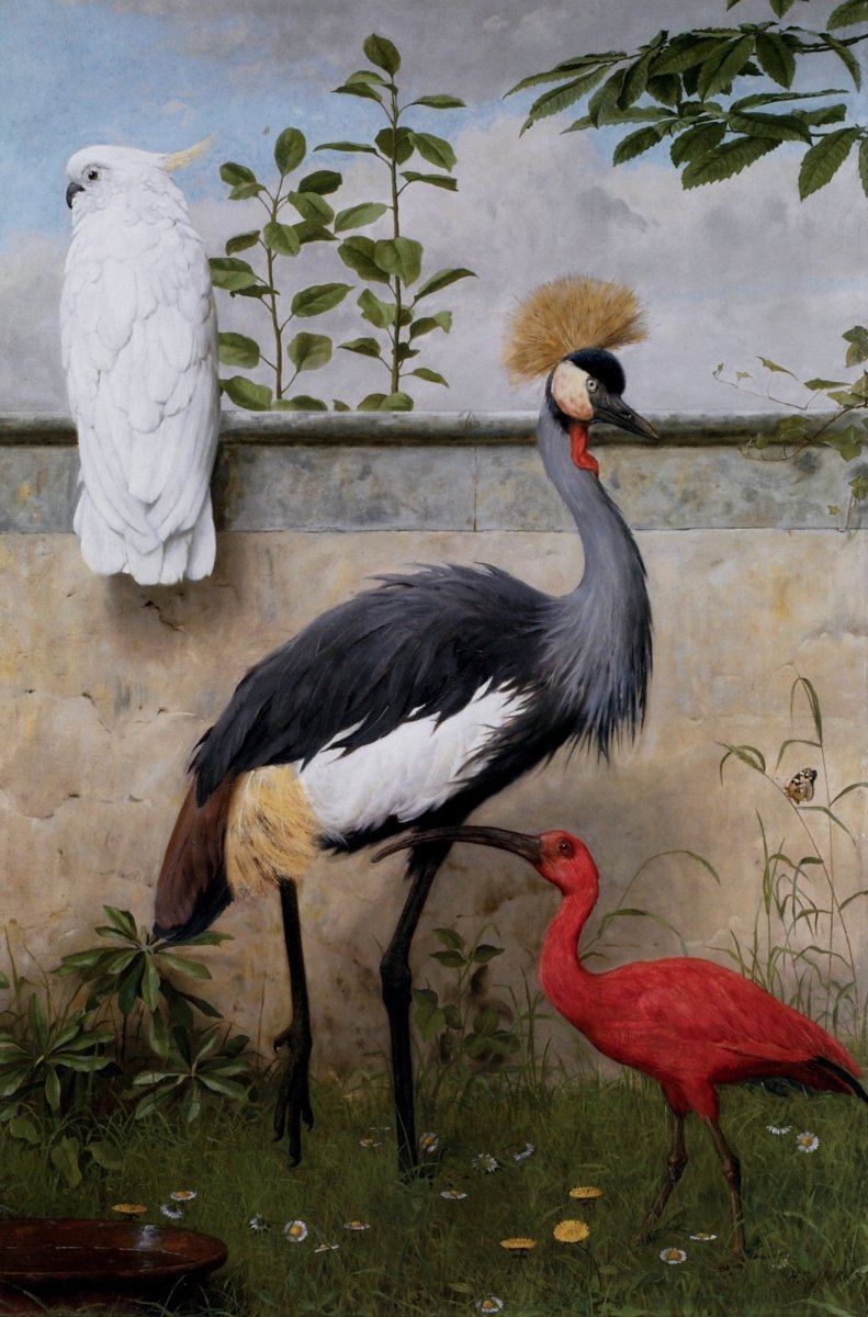 Henry Stacy Marks (1828-1898) - Crested Crane, Cockatoo & Scarlet Ibis ...