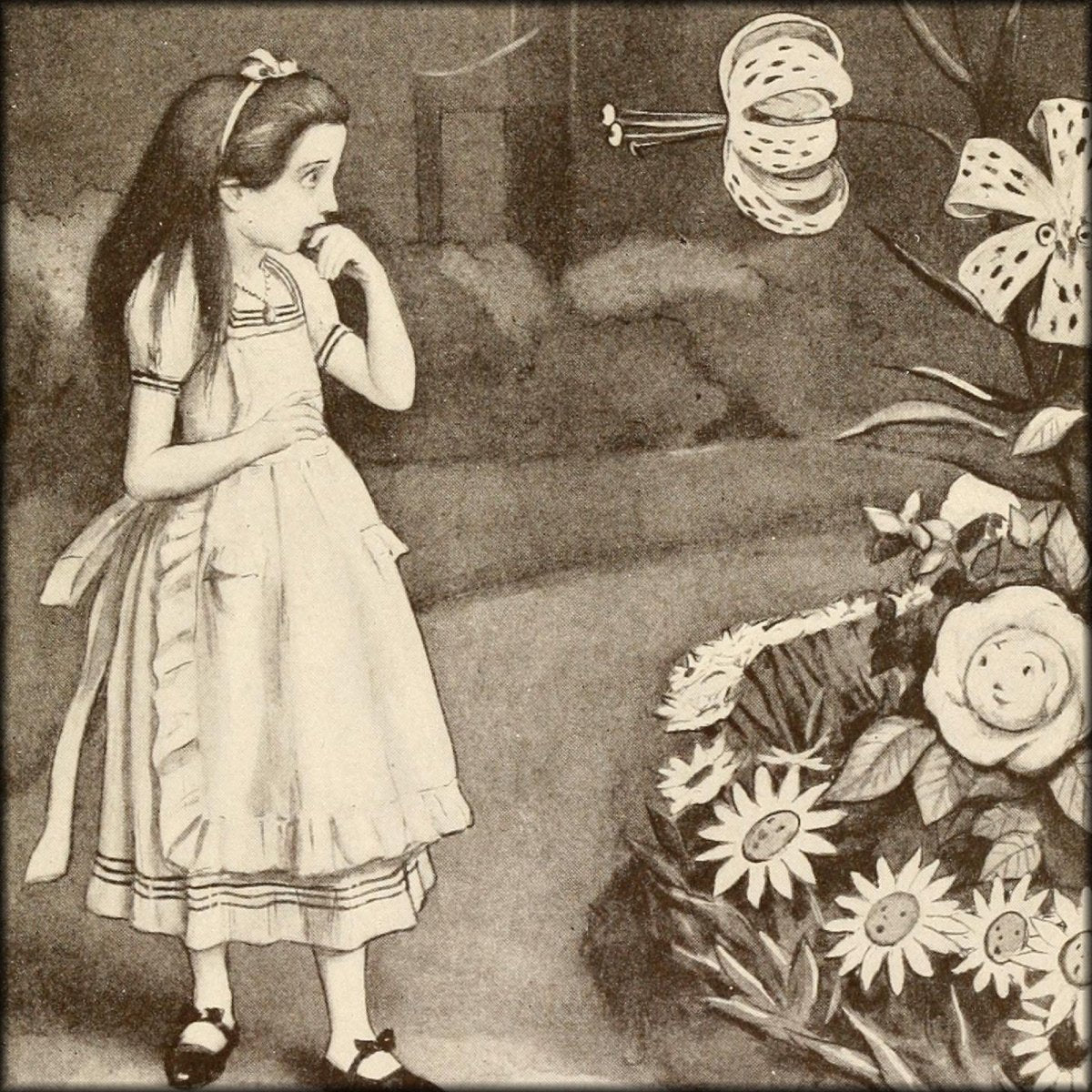 Through the Looking Glass 1902 - Peter Newell - 40 images