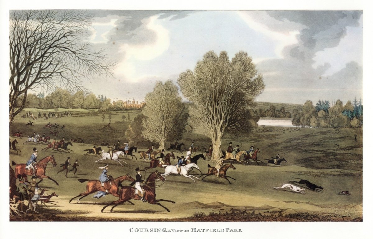 James Pollard Sporting Art in the Public Domain