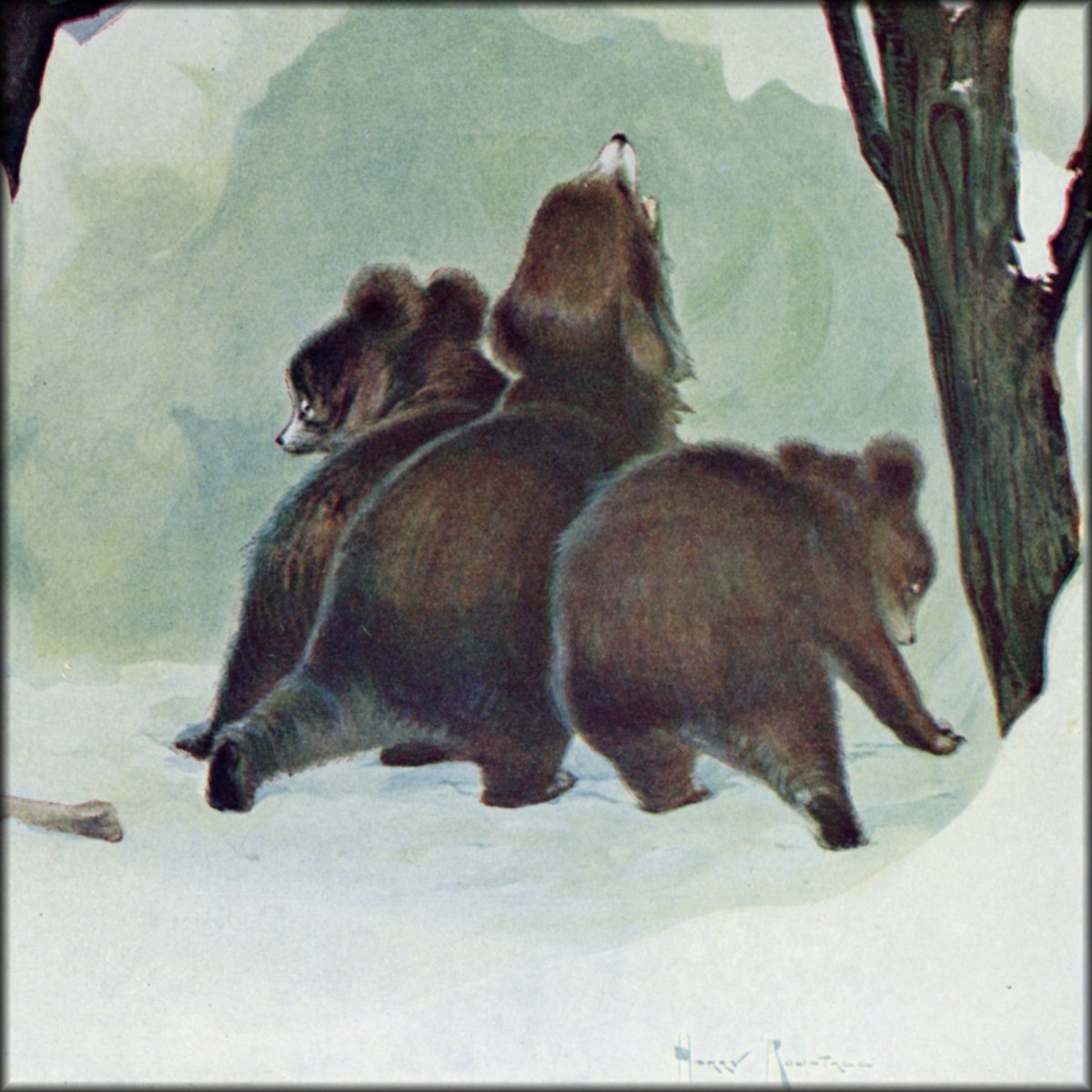 Harry Rountree Illustrations in the public domain