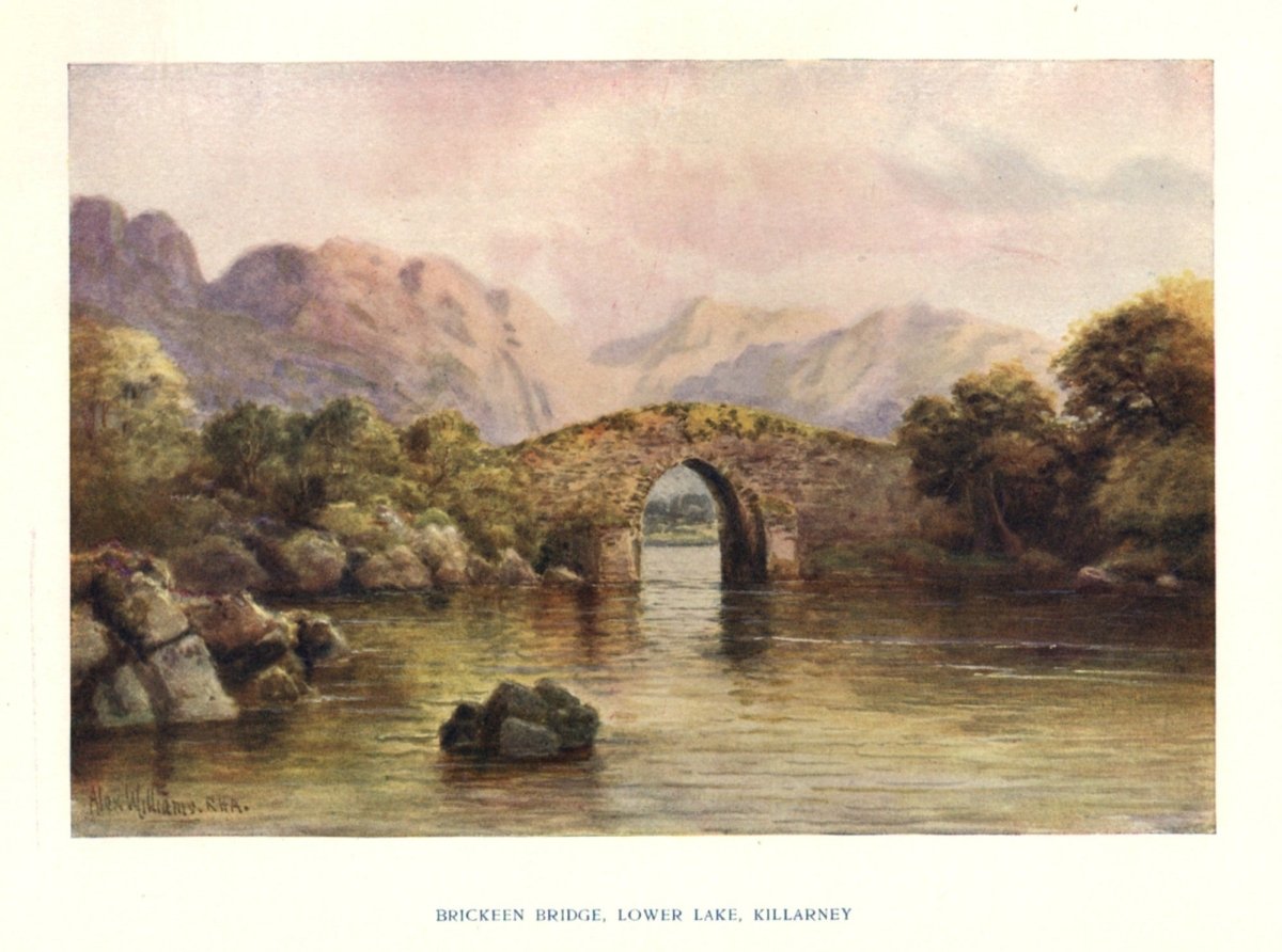 Munster 1912 - Alexander Williams (1846-1930) - 12 images