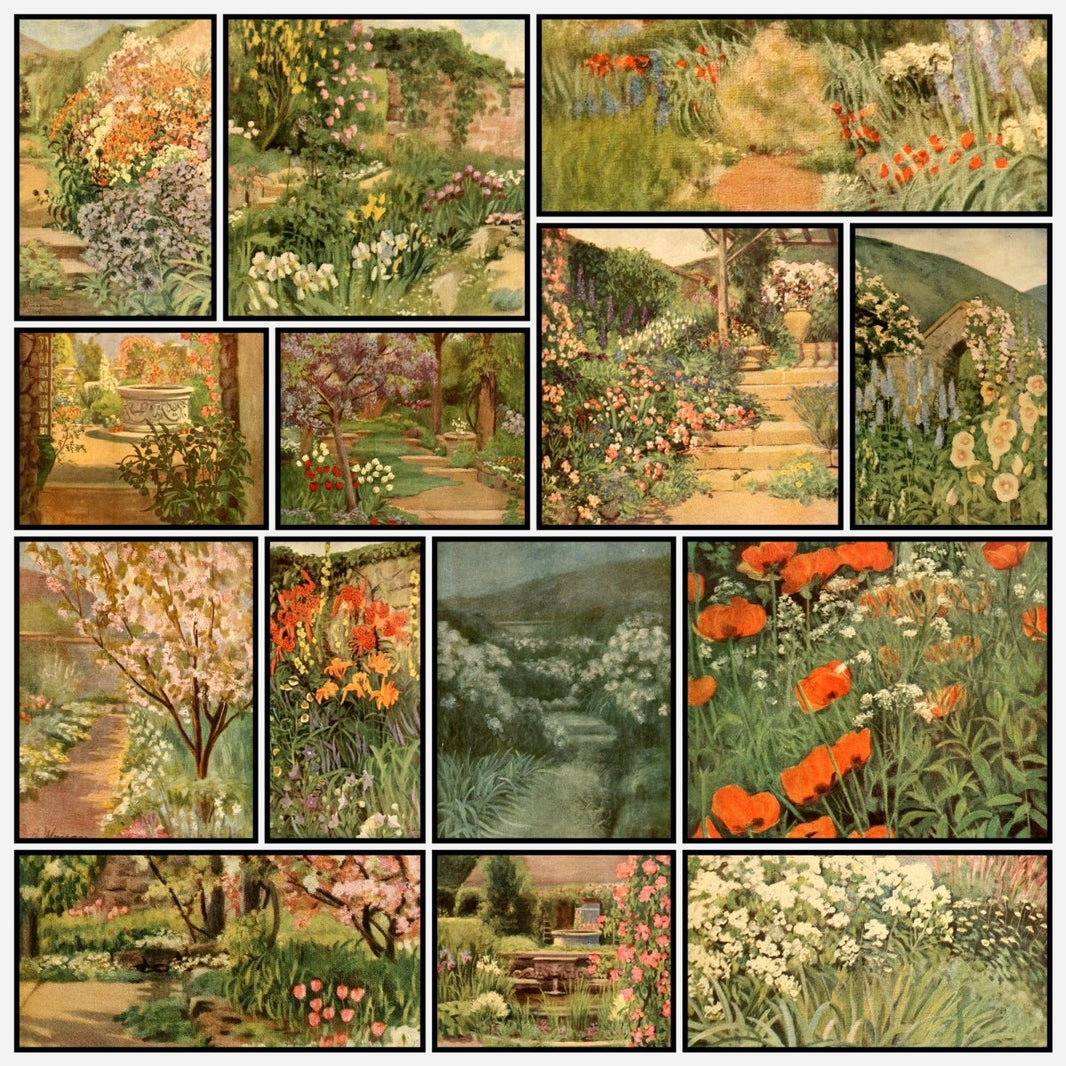 Anna Winegar Illustrations in the Public Domain