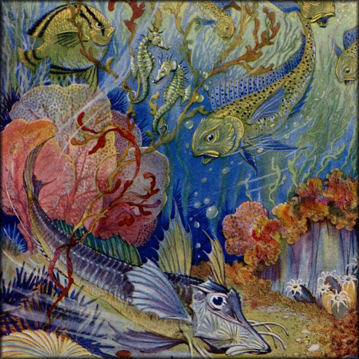 Milo Winter (1888-1956) - Odd Inhabitants of the Sea 1930s